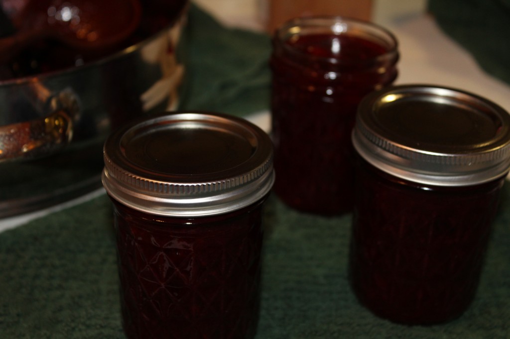 Spice Plum Jam | A Small Town Kitchen